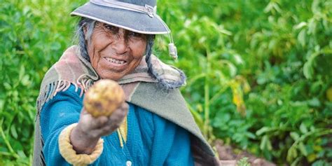 Pepsico México To Help Potato Farmers Become Sustainable Through Cropx