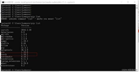 多python环境conda安装pytorch如何共享其他环境pytorch Csdn博客