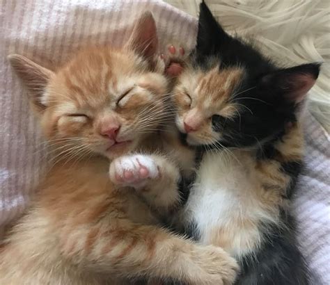 Two cute!