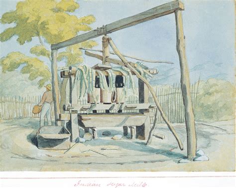 Acuarela 1843 Trapiche Indígena Edward Walkhouse Banco De La