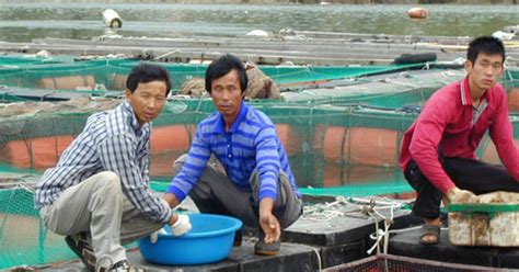 희망의 그물짜기 14 송도 어촌계 호남석유화학공장