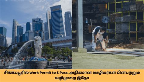 சிங்கப்பூரில் Work Permit To S Pass அதிகமான ஊழியர்கள் பின்பற்றும் வழிமுறை இதோ Tamil Wide