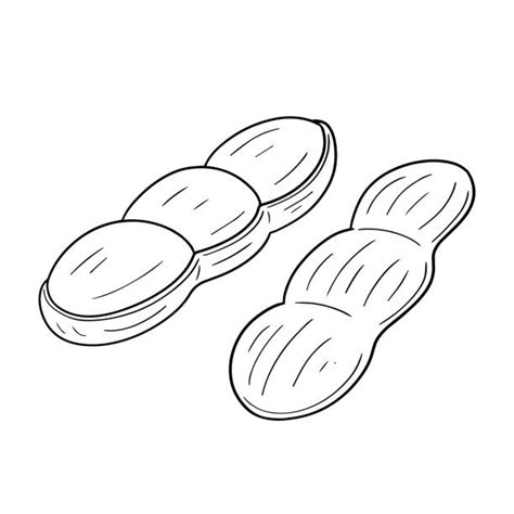 60 Boiled Peanuts Stock Illustrations Royalty Free Vector Graphics