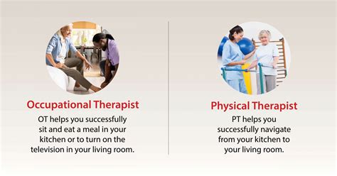 Occupational Therapist