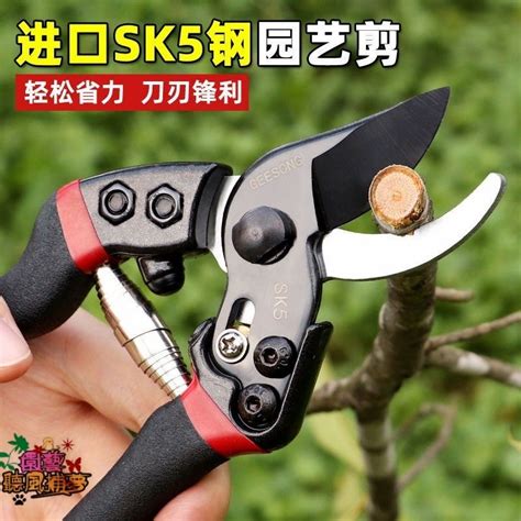 正品 日本鋼sk5 鋒利 修剪快 省力粗枝剪園林園藝盆栽嫁接 耐用園藝好幫手 修枝剪刀家用樹枝剪果枝剪 聽風捕夢園藝 蝦皮購物