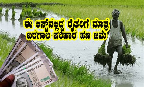 ಈ ರೈತರಿಗೆ ಬರಗಾಲ ಪರಿಹಾರ ಜಮೆ ಸ್ಟೇಟಸ್ ಚೆಕ್ ಮಾಡಿ • Janajagran