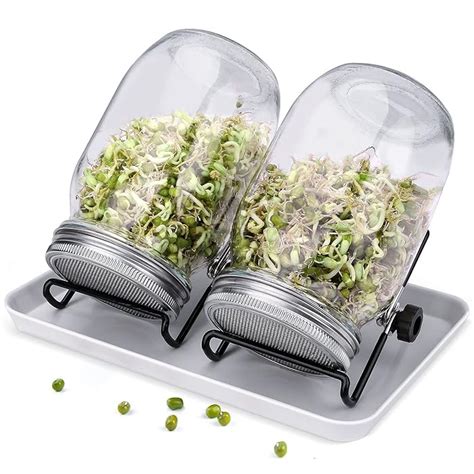 Buy Sprouting Mason Jars Seed Sprouter Kit 2 Sprouting Mason Jars With