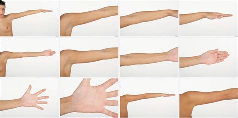 Bera High Res Skin Texture Photo Set By 3d Sk