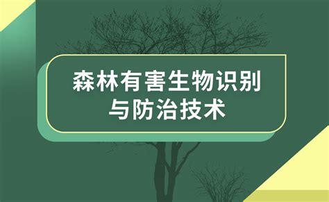 全部课程课程中心