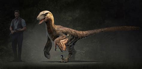 Feathered Raptor Unknow Artist Rjurassicpark