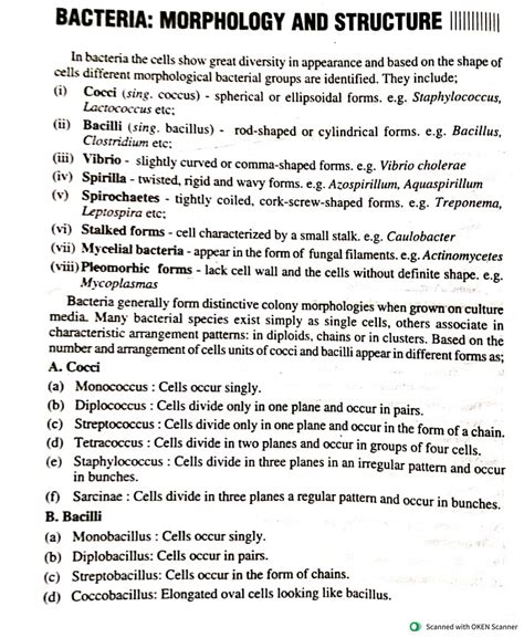 Solution Bacteria Morphology And Structure Classification Studypool