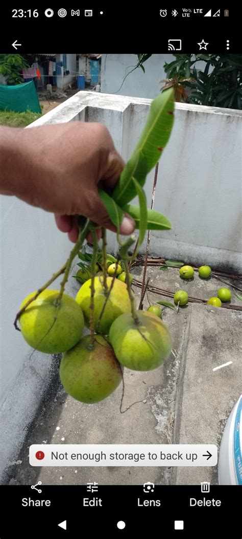 Narasimha Raju Konda Posted On Linkedin