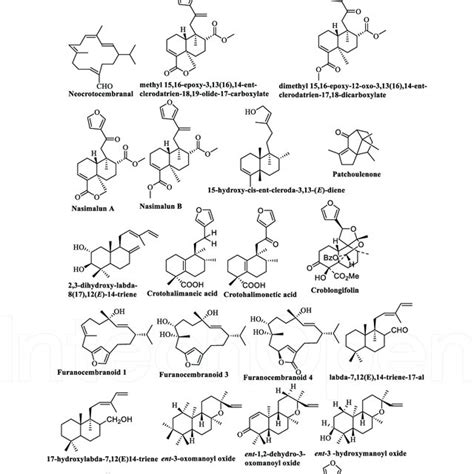 Cytotoxic Compounds From Dioscorea Bulbifera Download Scientific Diagram