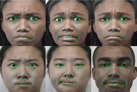 Example Detections From Ck Dataset Download Scientific Diagram