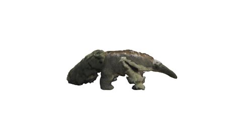 Anteater 3d Model By Yona Yonatanmanevich [75a10b6] Sketchfab