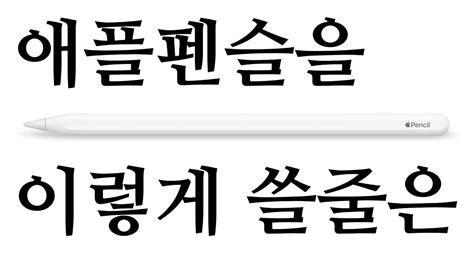 새롭다 애플 펜슬을 이렇게도 쓸 수 있군요 금손 아티스트의 아이패드 동양화 그림 Youtube