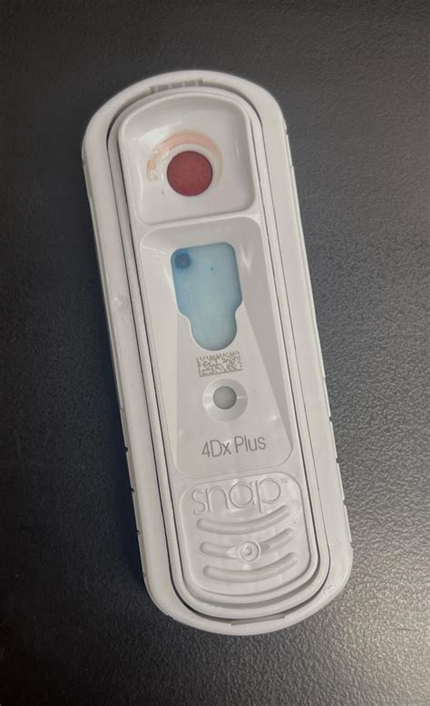 Mckinney ⭐️ Did You Know That Our Heartworm Tests Also Screen For Three Tick Borne Illnesses