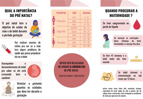panfleto a importancia do pre natal Ginecologia e Obstetrícia