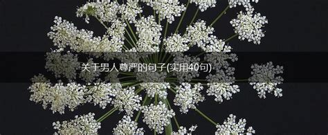 关于男人尊严的句子实用40句