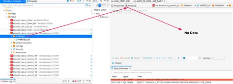 Schedulerjobsrun Log Is Empty Oracle · Issue 14528 · Dbeaver