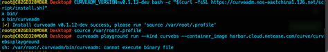 Curve Tool Implement Do Snapshot Commnad Issue 2023 Opencurve