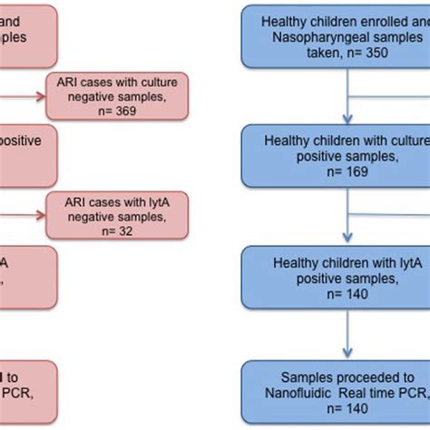 Relationship Between Bacterial Load Of Specific Serotypesserogroups