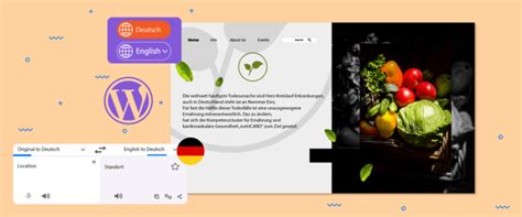 How To Translate Plugin And Theme Strings On WordPress