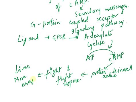 Solved Many Pharmaceutical Compounds Inhibit Or Activate Proteins In G