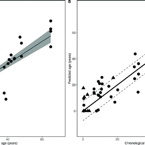 Final Age Estimation Model Analysis Of Estimation Accuracy And Model Download Scientific