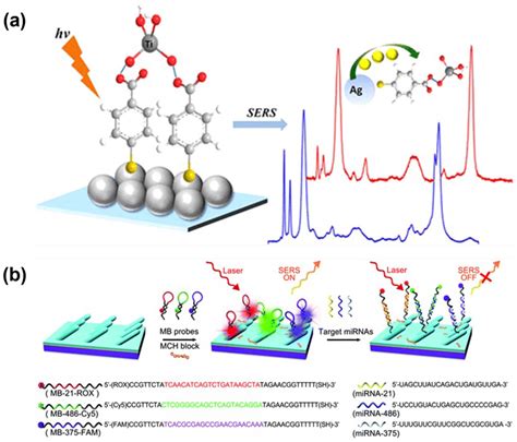 Recent Strategies For Microrna Detection A Comprehensive Review Of Sers Based Nanobiosensors