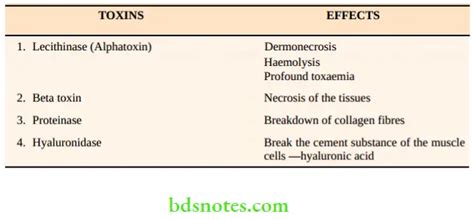 Tetanus And Gas Gangrene Notes Bds Notes
