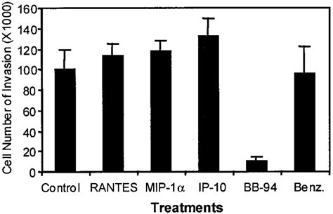 Inhibition Of Mouse A Nk Cell Migration Across A Model Basement