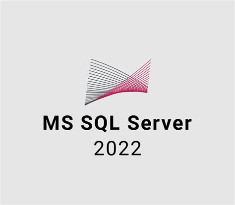 Sql Server 2022 Logo Png