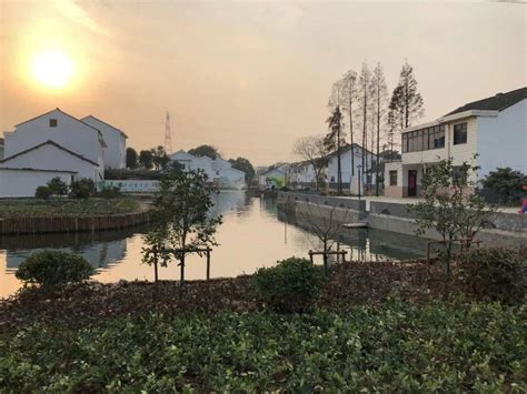 华士这个村上榜！江阴市农村人居环境整治提升示范村名单出炉建设