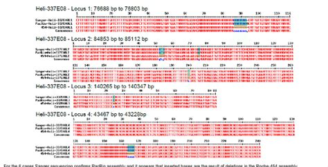 Sanger Sequencing Of 4 Loci That Exhibits Insertions In Pacbio Rs Ii Download Scientific