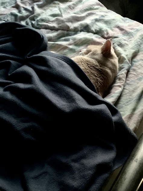 Its Chilly In The House So He Demands To Be Tucked In For His After