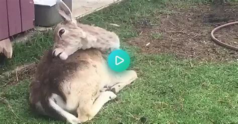 Cuddle Time Album On Imgur