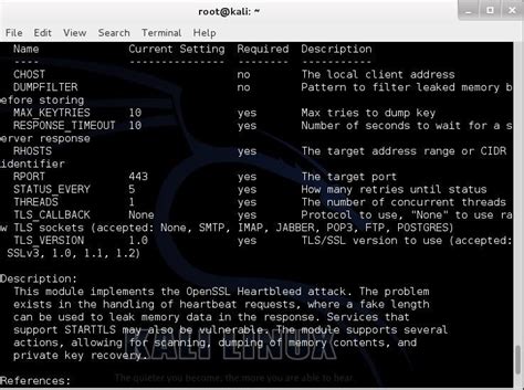 Hacking The Heartbleed Vulnerability