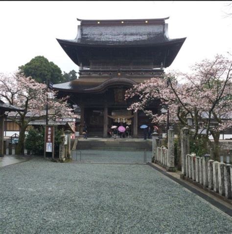 10 Strong Earthquakes Strike Japan In 24 Hours Killer M70 And M62