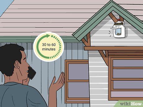 How To Move A Bird Nest WikiHow