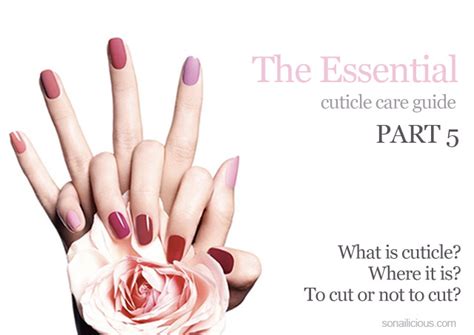 What Is Cuticle [the Essential Cuticle Care Guide Part 5]