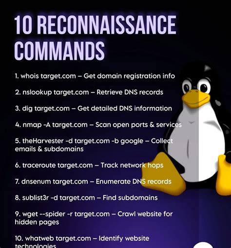 💻 HcӃ€₹ Part 1 80 Hacking Commands Hack Cybersecurity Kalilinux
