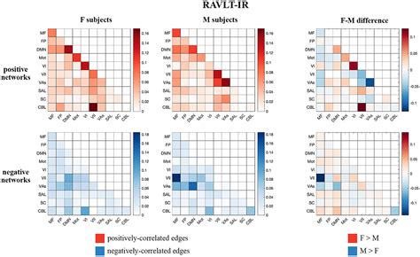 Frontiers Connectome Based Predictive Modeling Shows Sex Differences