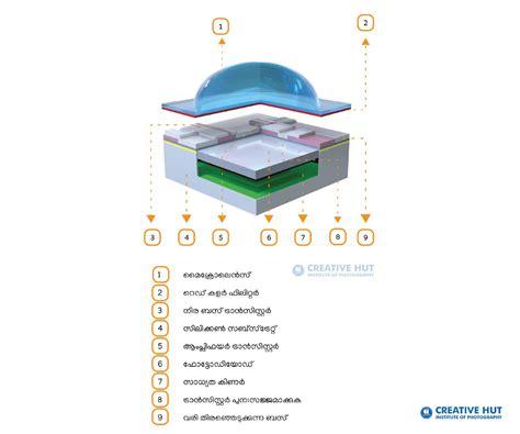 Sensor And Its Function By Abin Alex
