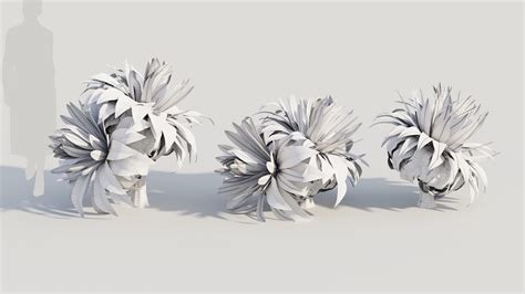 3D Asplenium Nidus A - TurboSquid 2178222