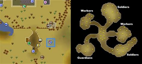 Kalphite Osrs