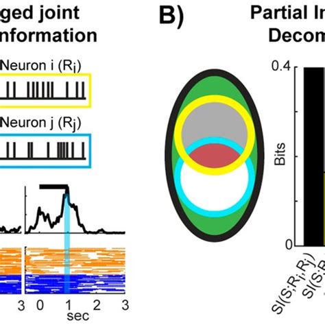Stimulus Information In Mouse Auditory Cortex During A Tone