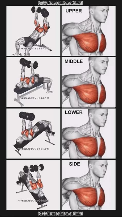 𝗙𝗜𝗧𝗡𝗘𝗦𝗦𝗟𝗔𝗕𝗢 On Instagram Chest Workout Using Dumbbell ① Incline