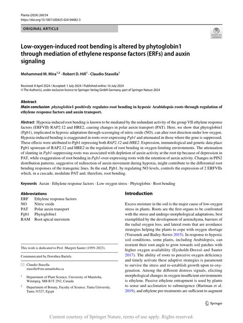 Low Oxygen Induced Root Bending Is Altered By Phytoglobin1 Through