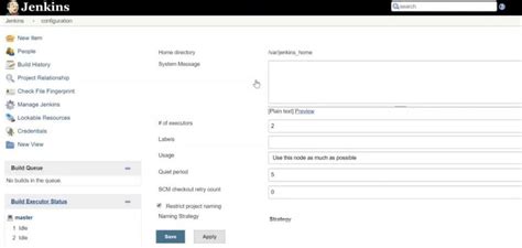 How To Set Environment Variables In Jenkins Geeksforgeeks